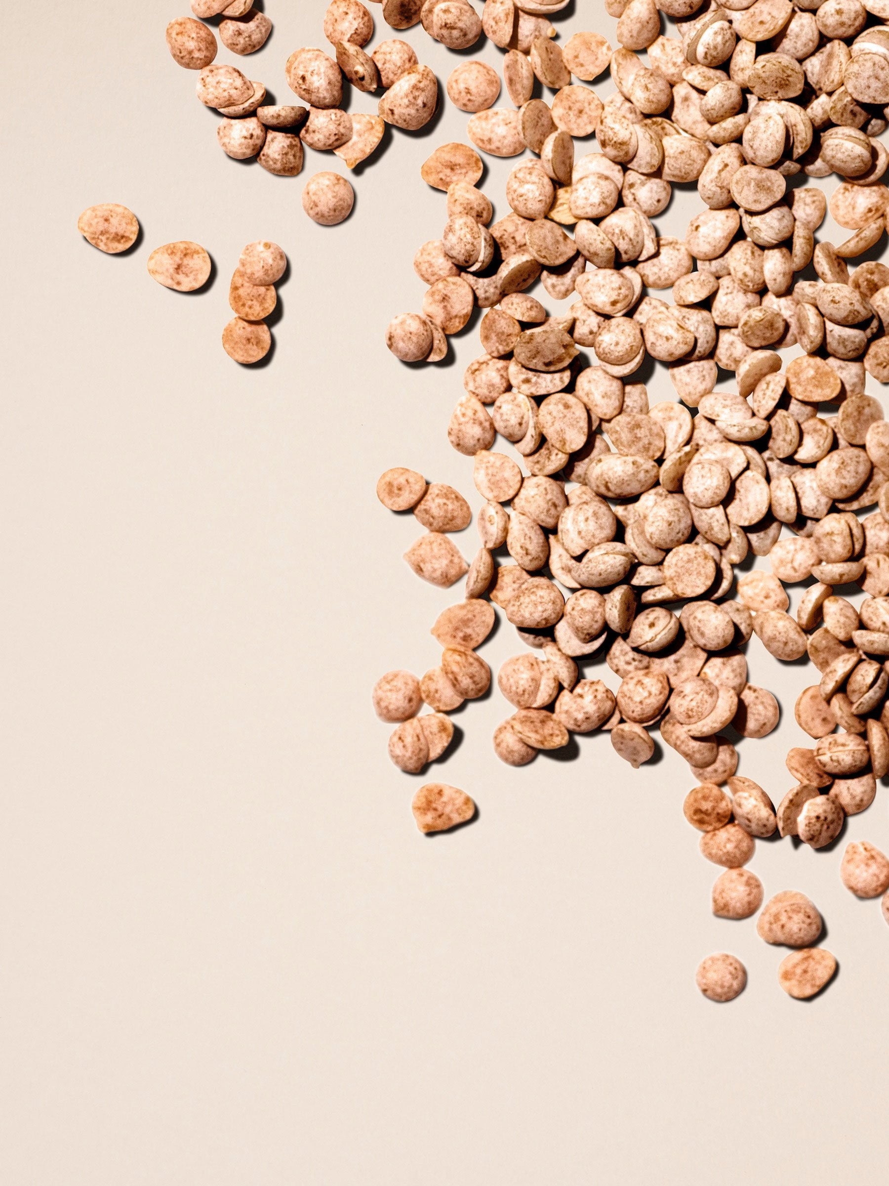 Chinese lacquer tree – Zelens USA